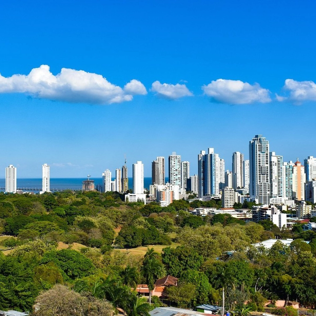 Panama Private Interest Foundations: Structure and US tax classification