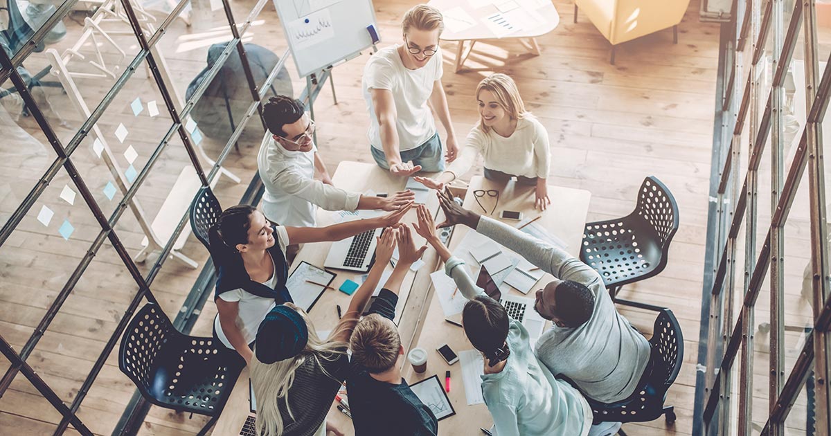 What are the secrets of effective teamwork in a professional organisation?