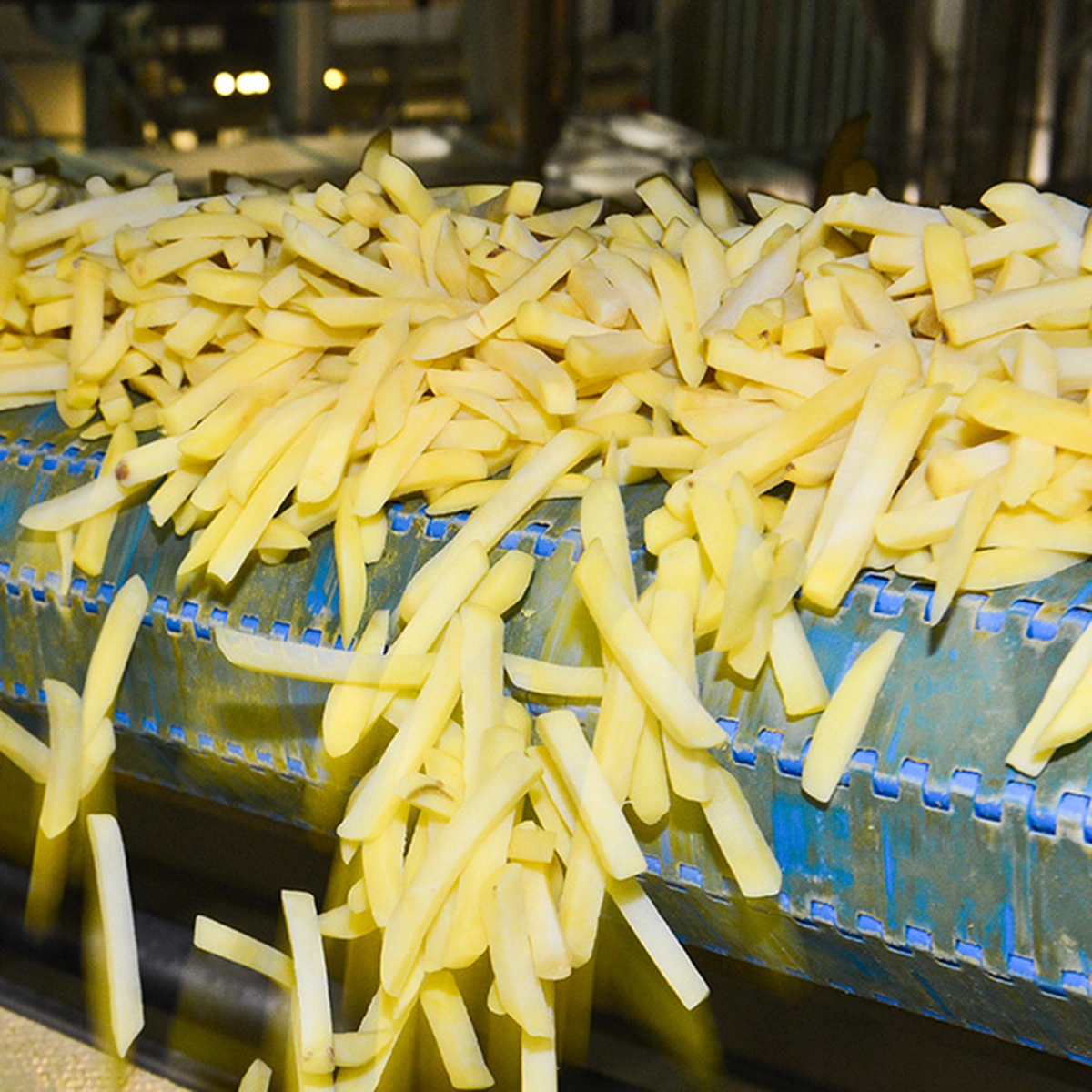 Installation and assembly