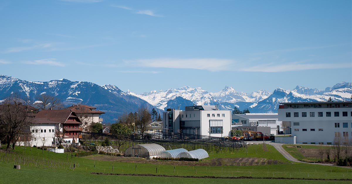 At a glance: The reform of Swiss company law
