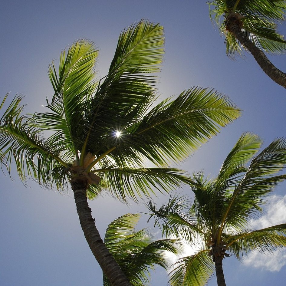 Residency and citizenship options in the Dominican Republic